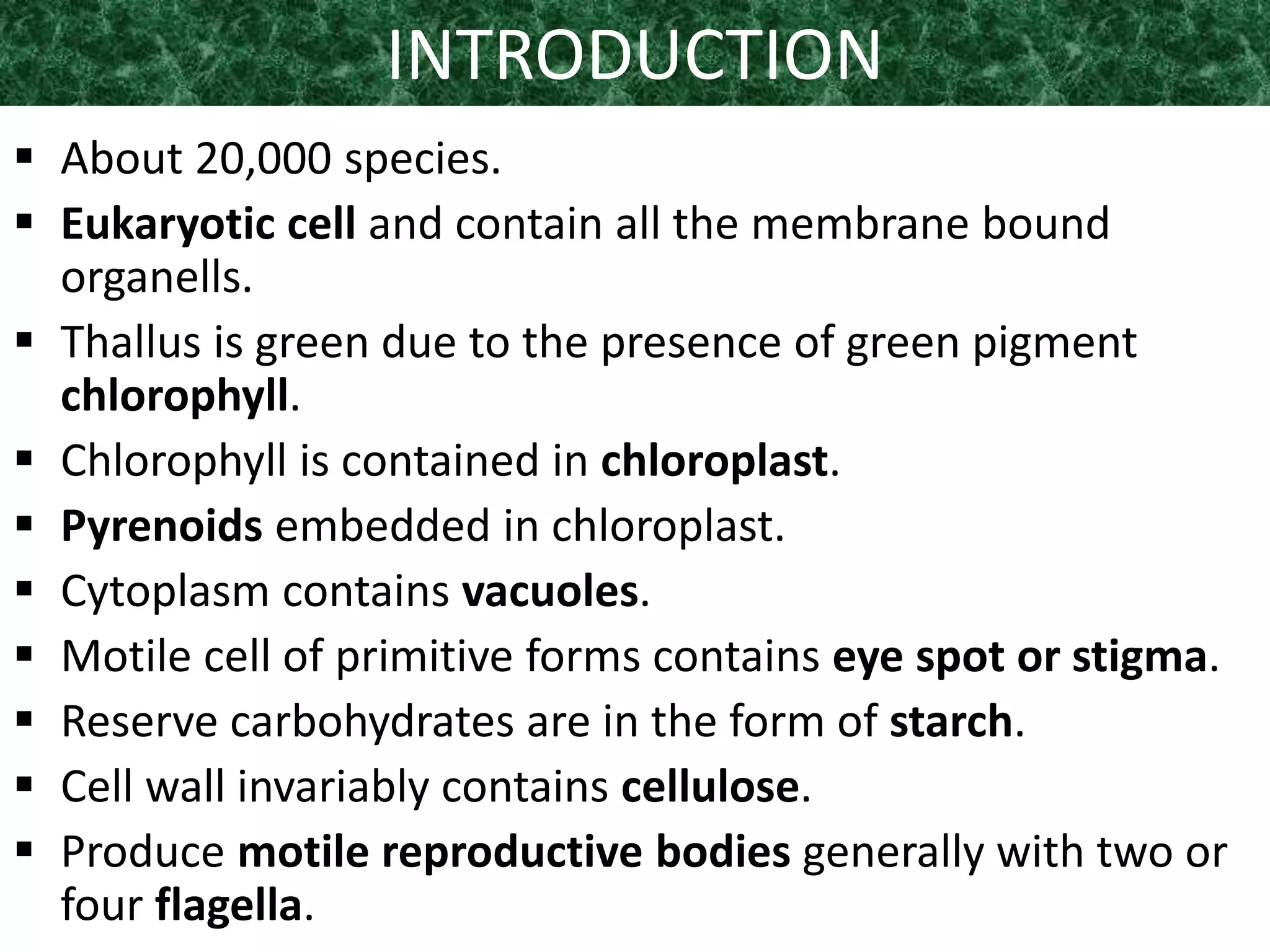 Chlorophyta | PPTX