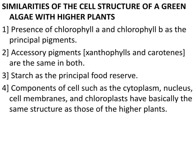 Chlorophyta | PPTX