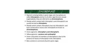 chlorophyta.pptx......................... | PPTX