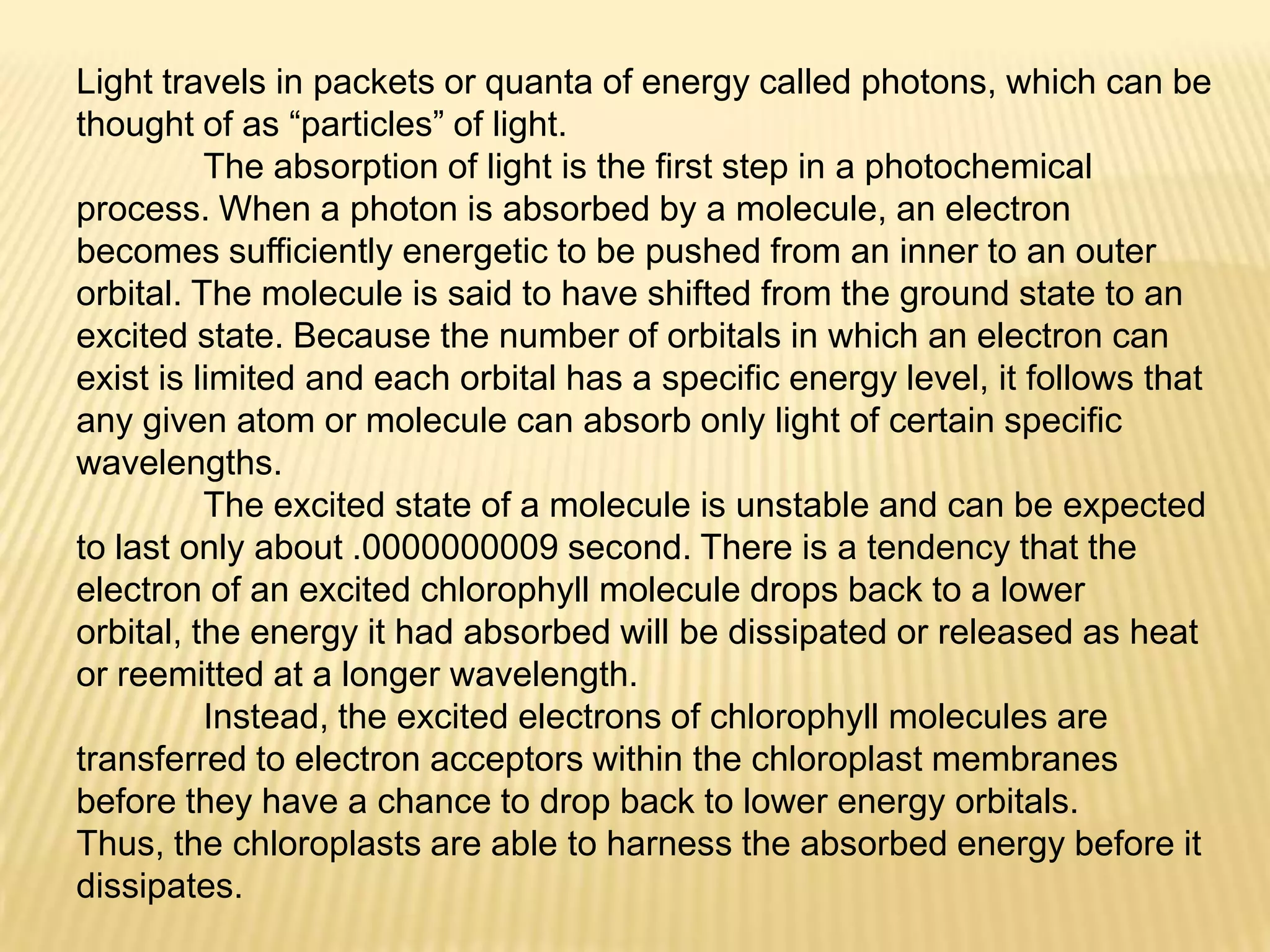 Chloroplast | PPTX