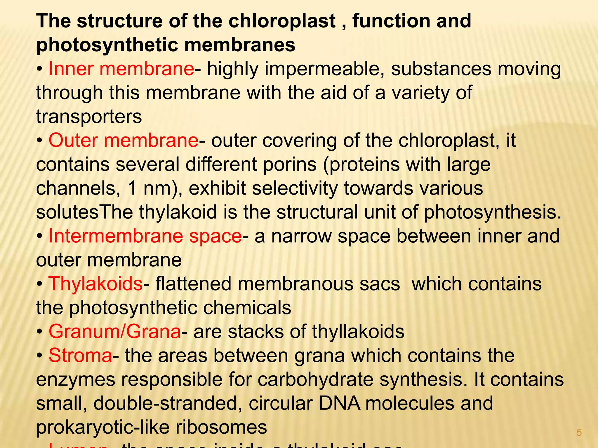 Chloroplast | PPTX