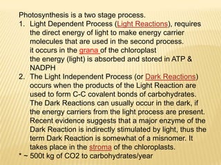 Chloroplast | PPTX