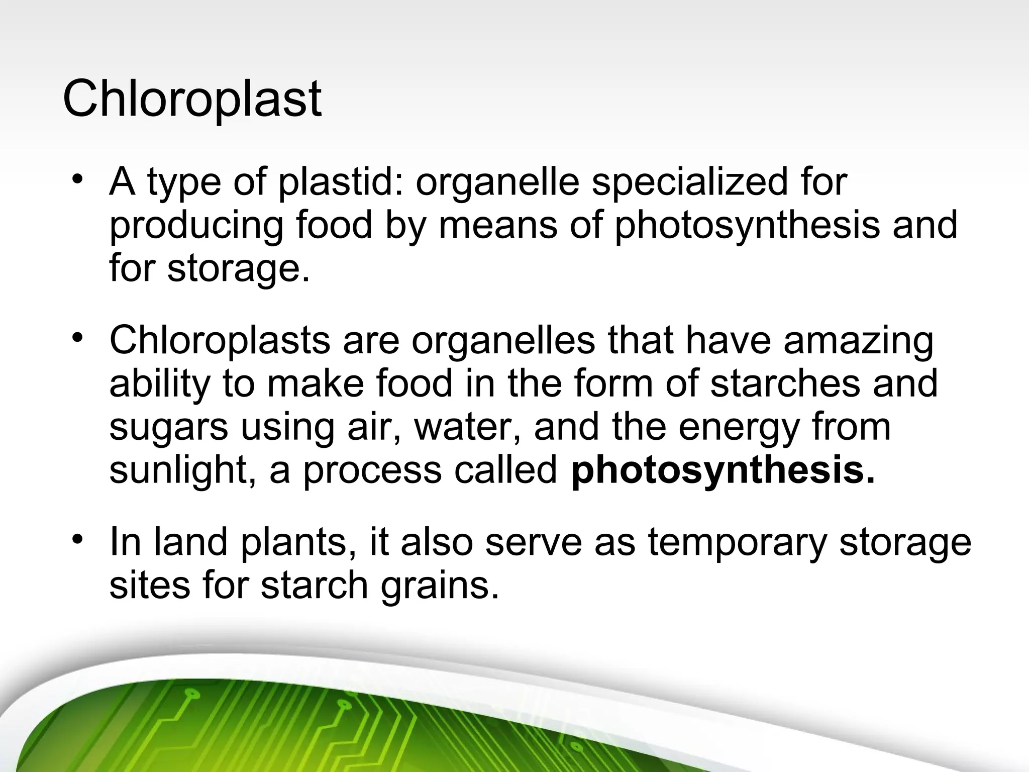 Chloroplast | PPT