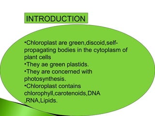 Chloroplast | PPT | Biological Sciences | Science