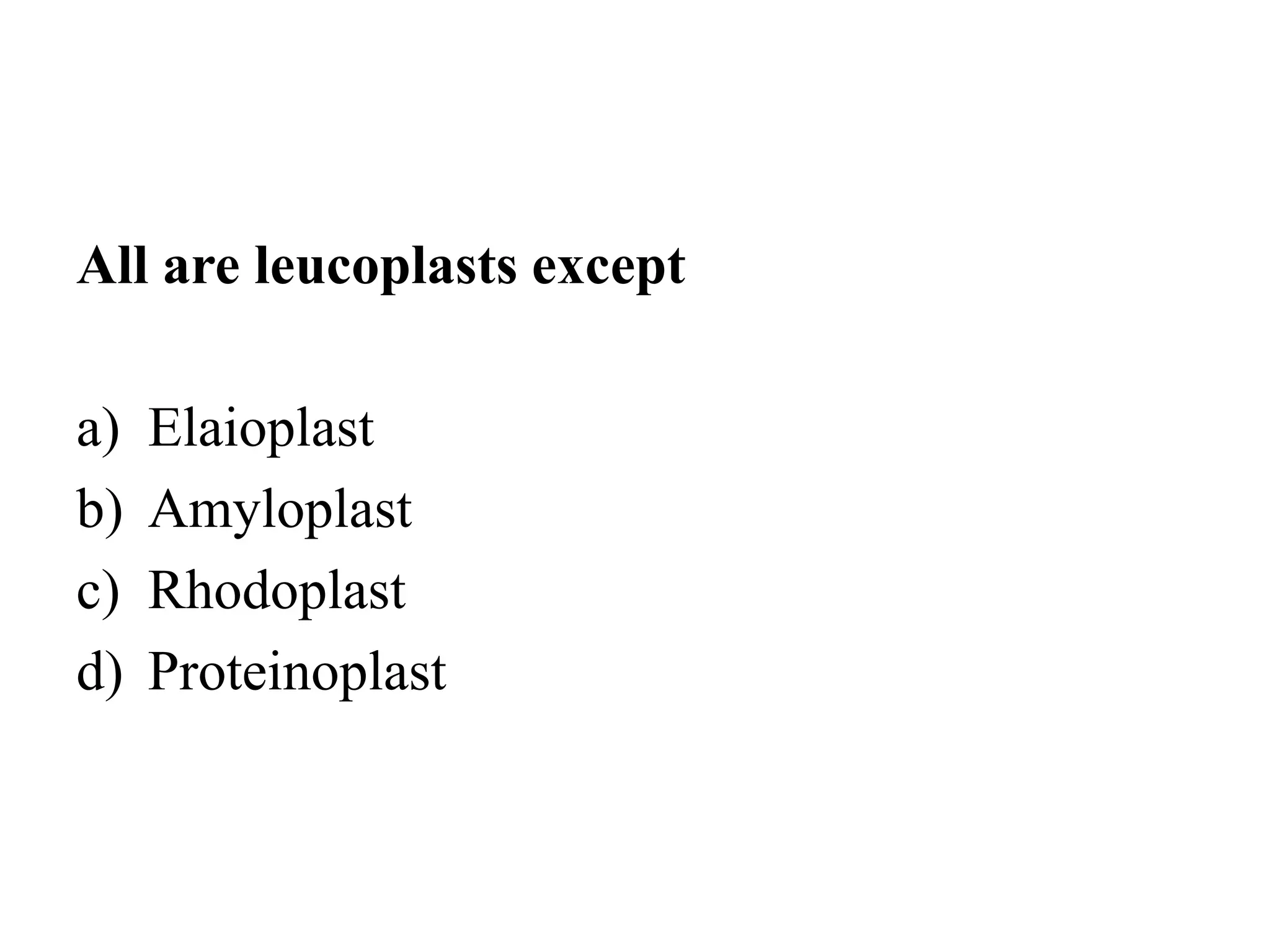 Chloroplast | PPTX