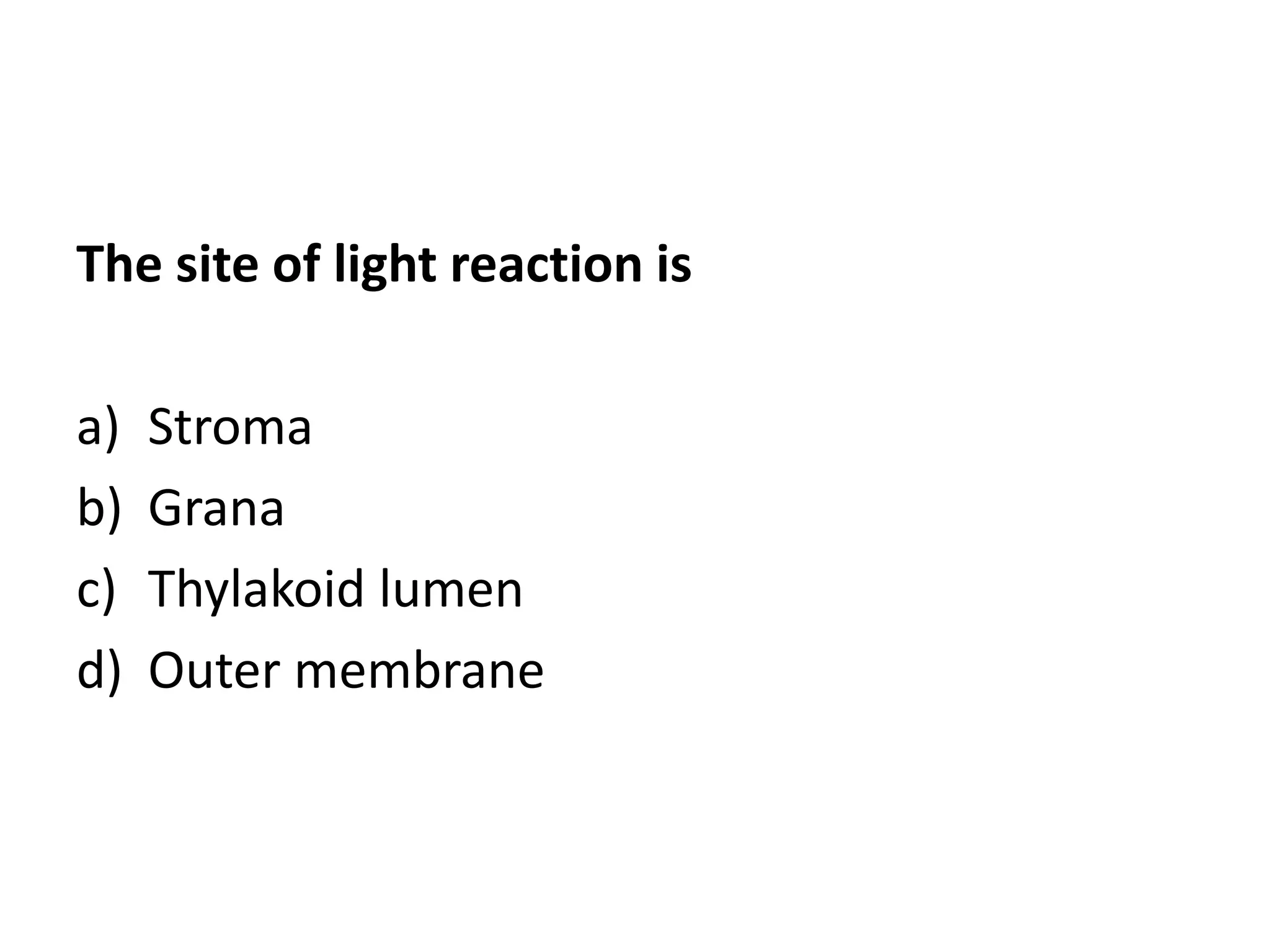 Chloroplast | PPTX