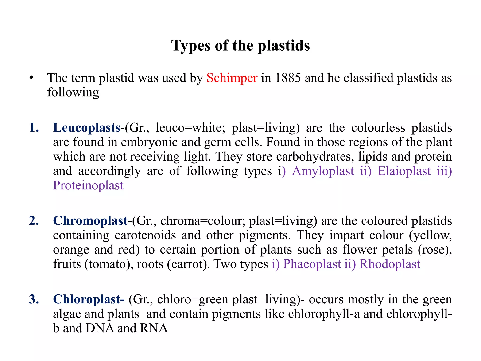 Chloroplast | PPTX