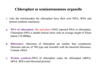 Chloroplast | PPTX
