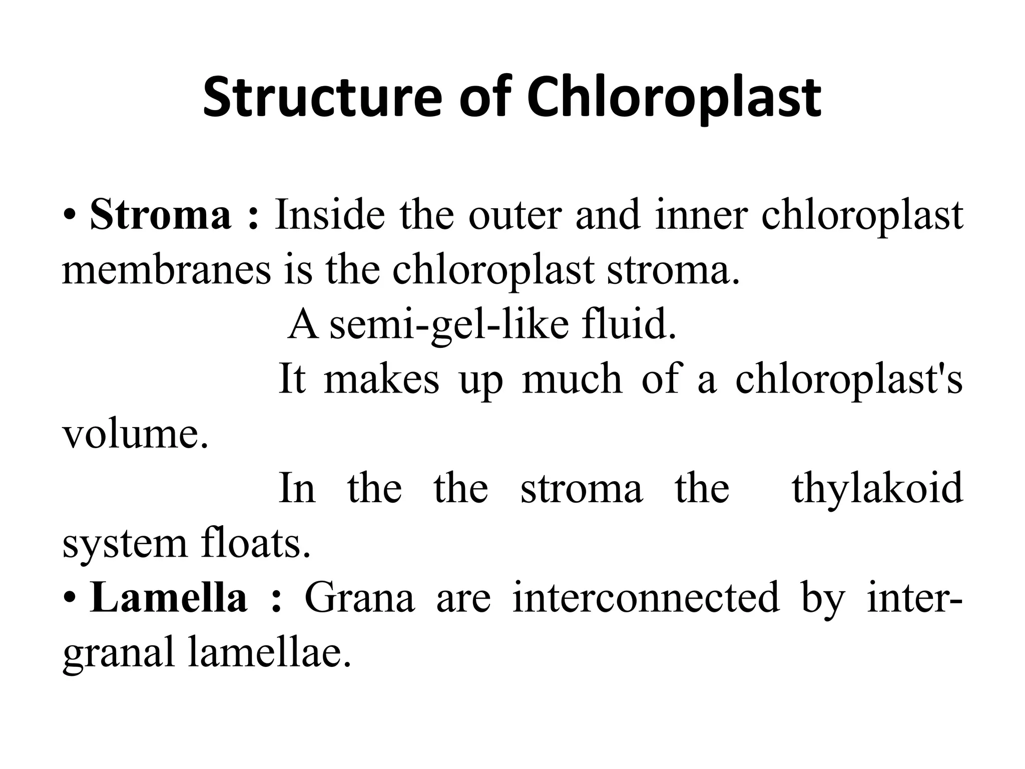 Chloroplast | PPTX