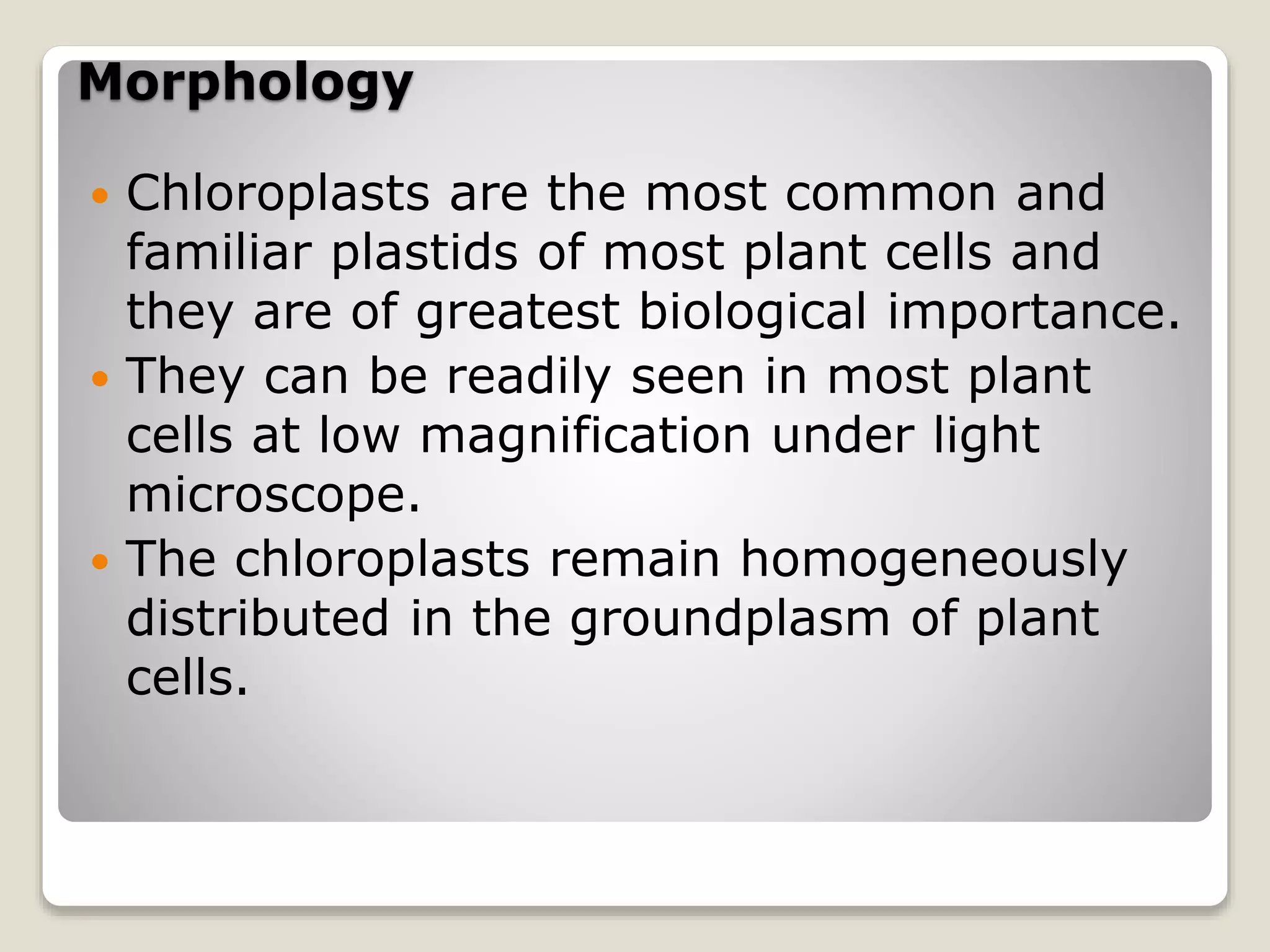 Chloroplast | PPT