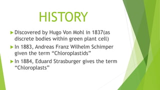 Chloroplast.pptx