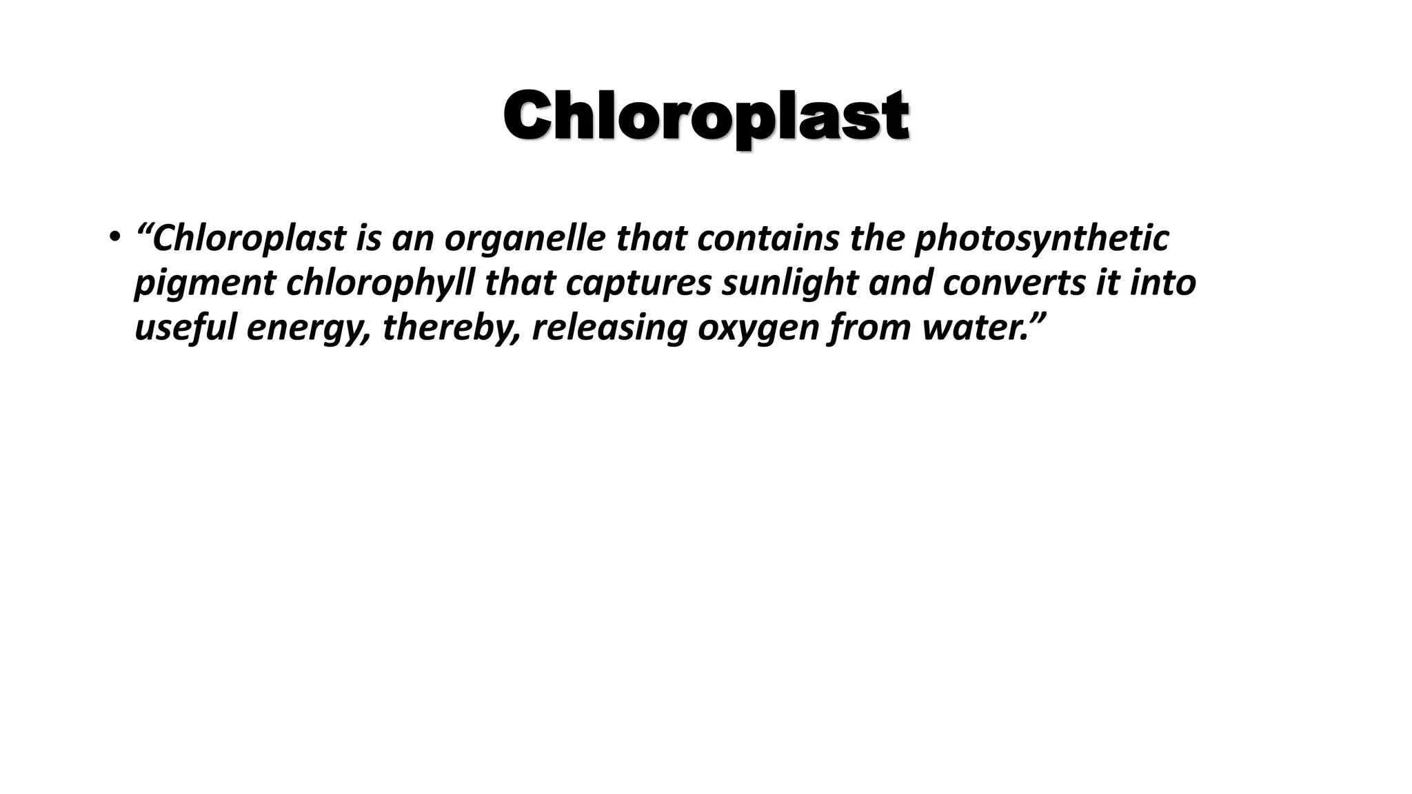 Chloroplast_structure_function_evolution | PPT