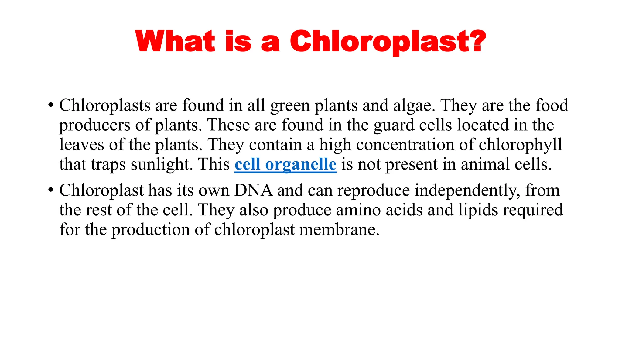 Chloroplast_structure_function_evolution | PPT