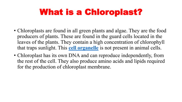 Chloroplast_structure_function_evolution | PPT