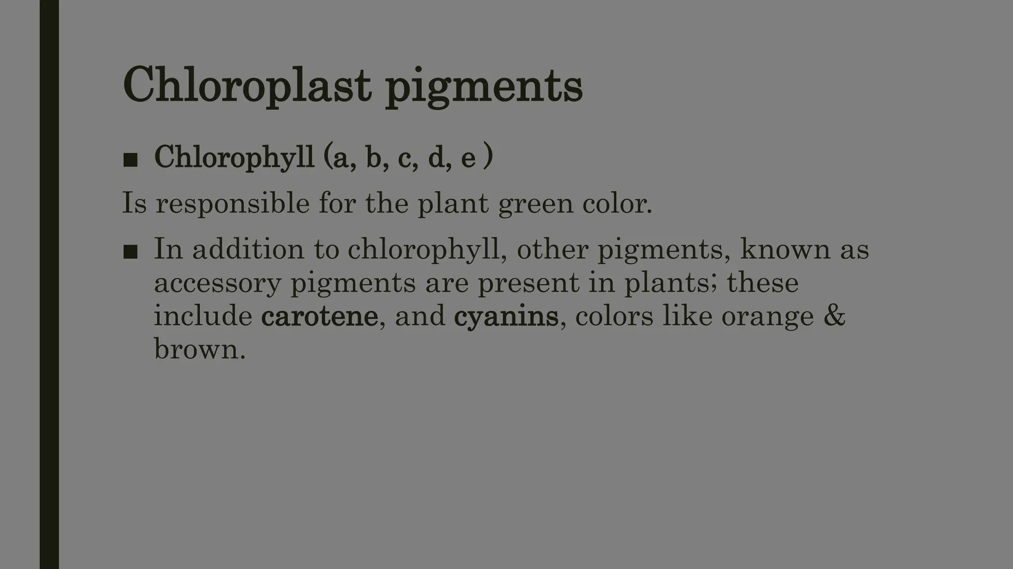 chloroplast in plant cell....................... | PPTX