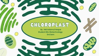 Chloroplast and it's structure presentation.pdf