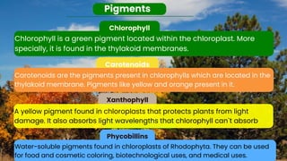 Chloroplast and it's structure presentation.pdf