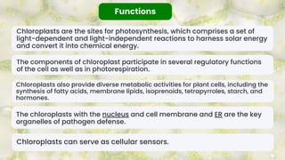 Chloroplast and it's structure presentation.pdf