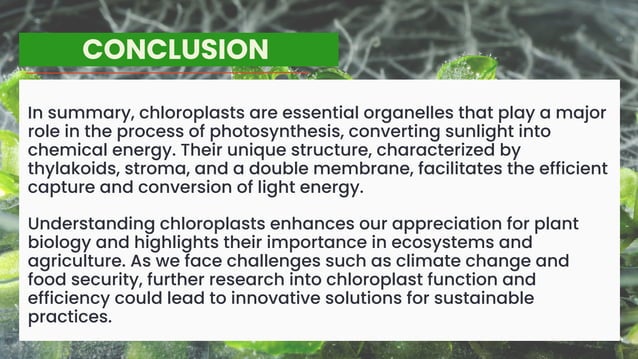 Chloroplast and it's structure presentation.pdf
