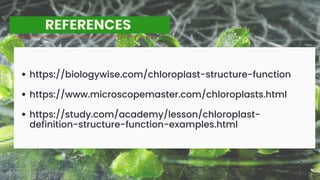 Chloroplast and it's structure presentation.pdf