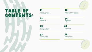 Chloroplast and it's structure presentation.pdf