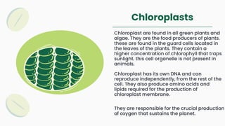 Chloroplast and it's structure presentation.pdf
