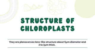 Chloroplast and it's structure presentation.pdf
