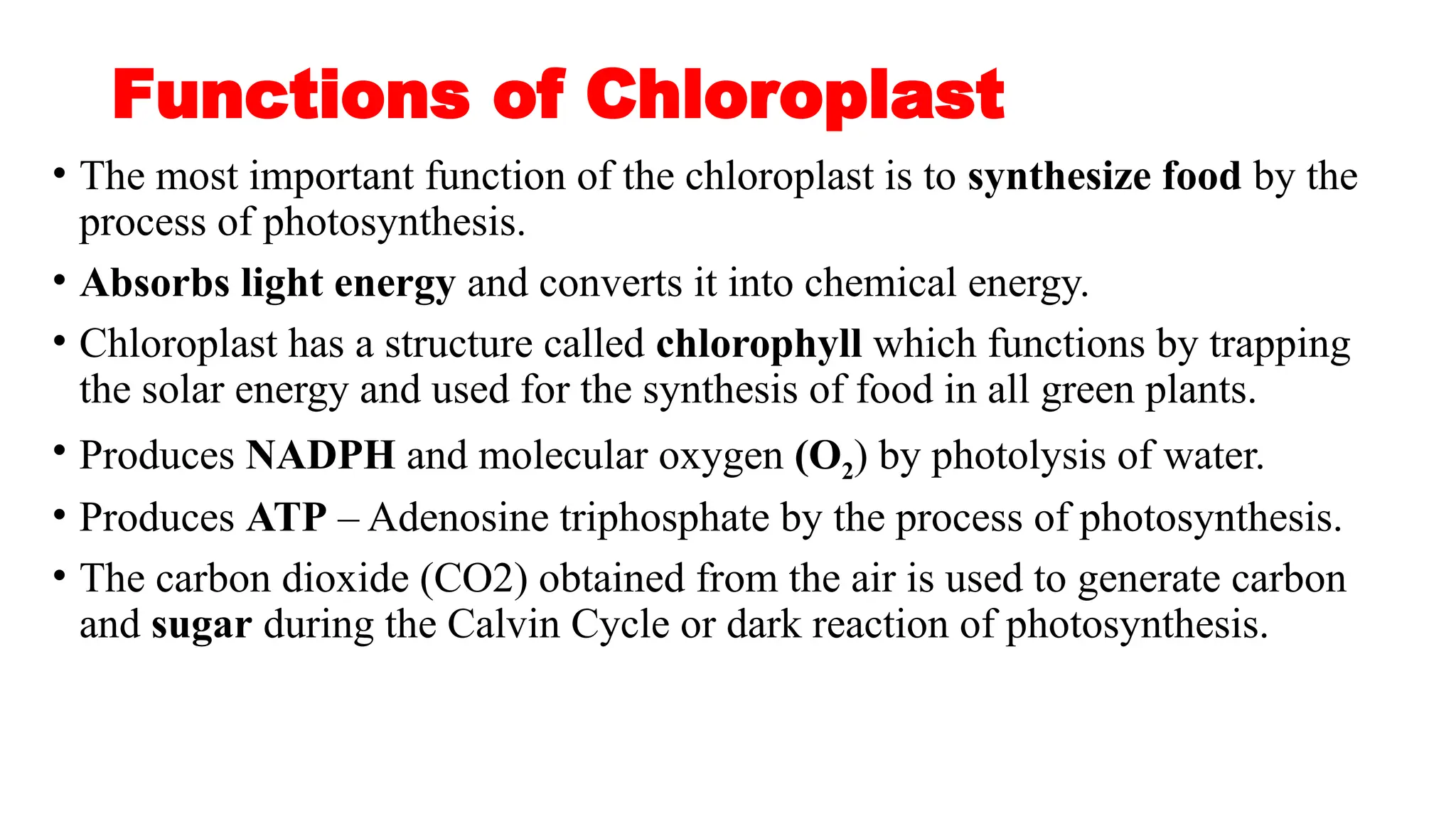 What is Chloroplast, it's function , structure , diagram | PPTX