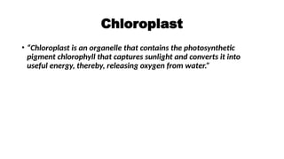 What is Chloroplast, it's function , structure , diagram | PPT