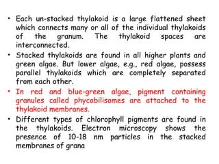 Chloroplast: Structure & Function....... | PPTX