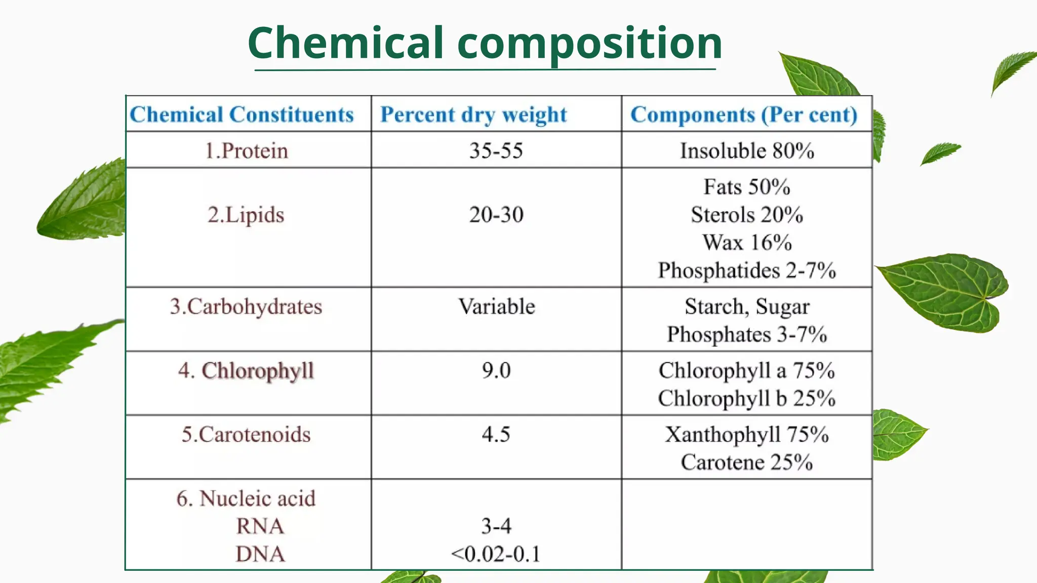 Chloroplast and it's structure and function.pptx
