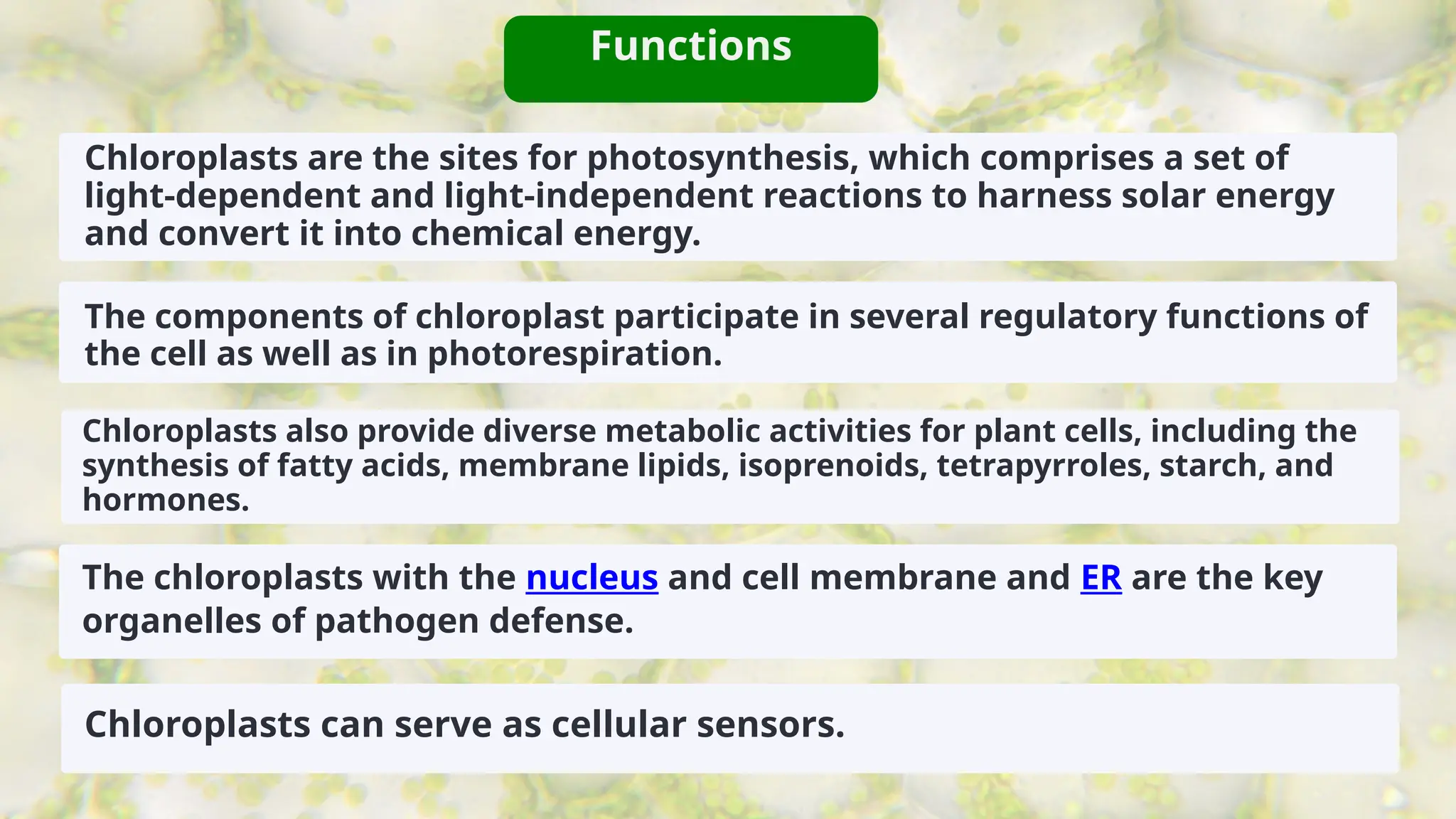 Chloroplast and it's structure and function.pptx