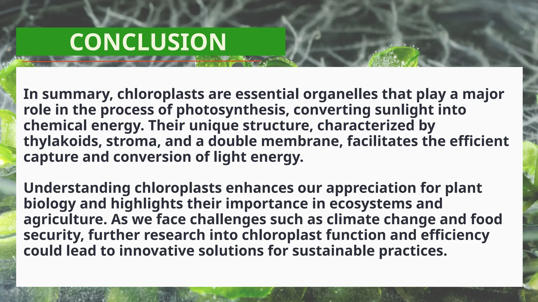 Chloroplast and it's structure and function.pptx