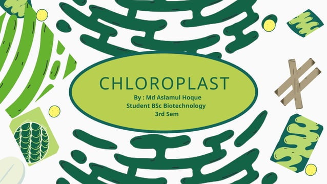 Chloroplast and it's structure and function.pptx