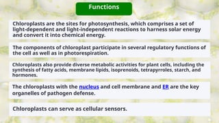 Chloroplast and it's structure and function.pptx