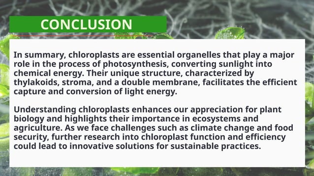 Chloroplast and it's structure and function.pptx