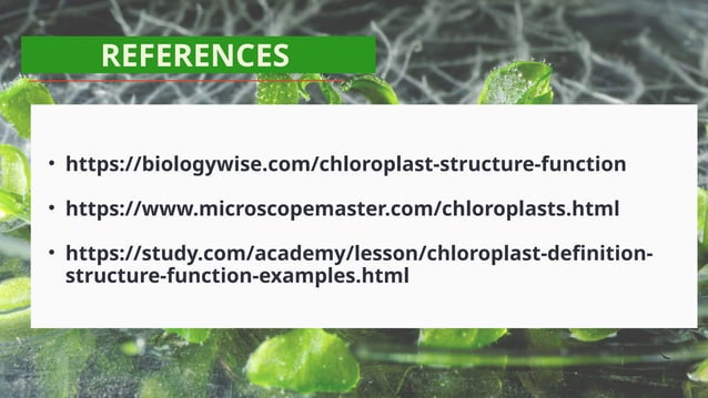 Chloroplast and it's structure and function.pptx