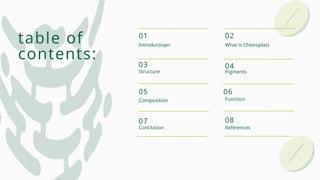 Chloroplast and it's structure and function.pptx