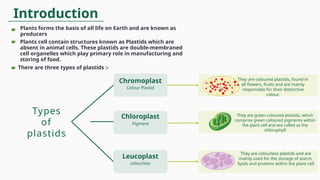 Chloroplast and it's structure and function.pptx