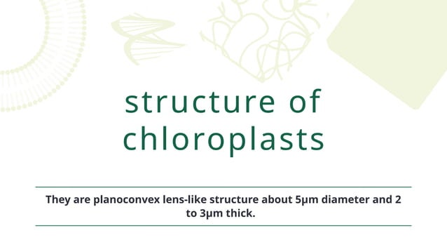 Chloroplast and it's structure and function.pptx