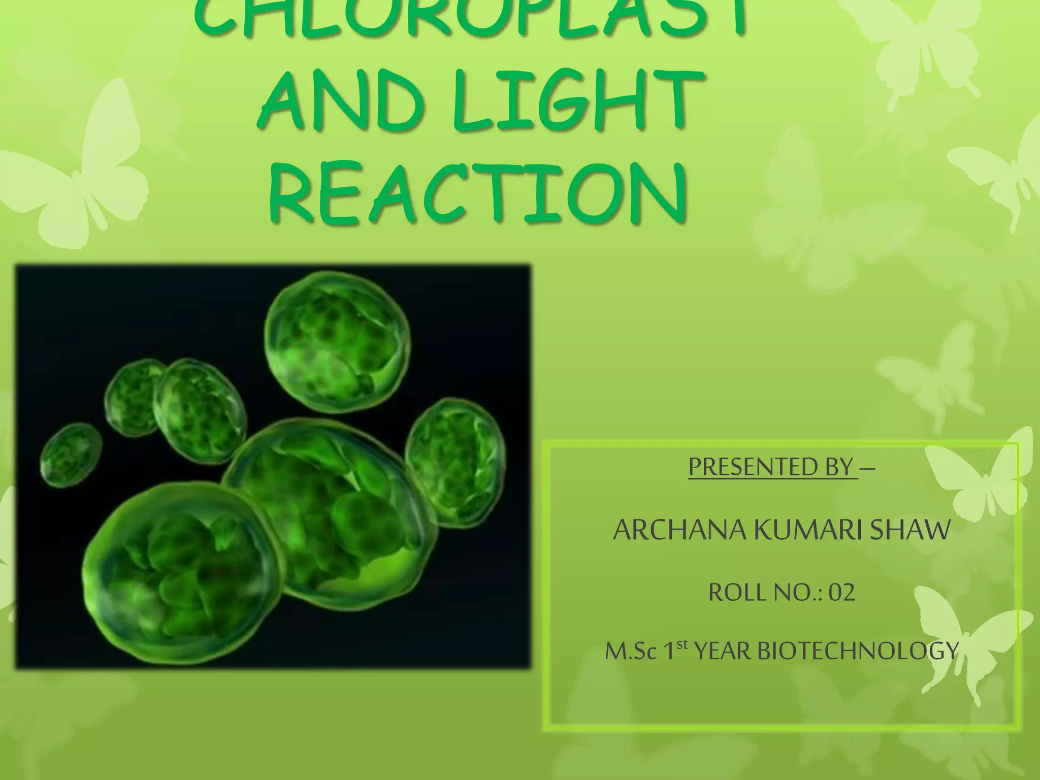 Chloroplast and light reaction | PPTX