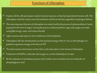 Chloroplast and light reaction | PPTX