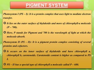 Chloroplast and light reaction | PPTX