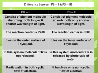 Chloroplast and light reaction | PPTX