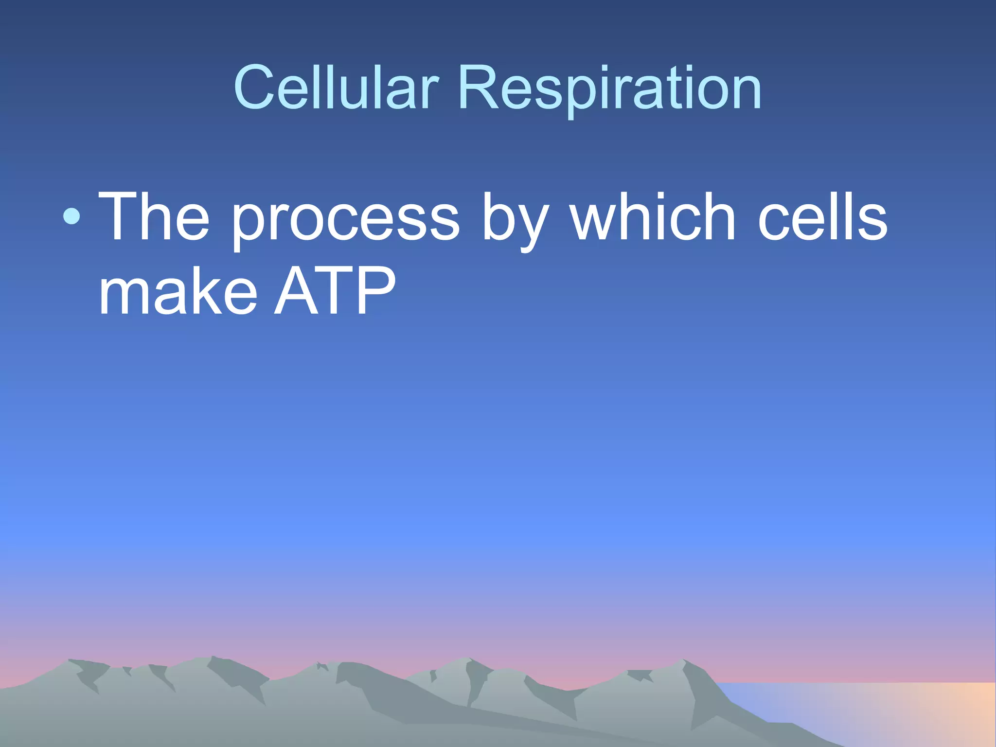 Chloroplast and mitochondria | PPT