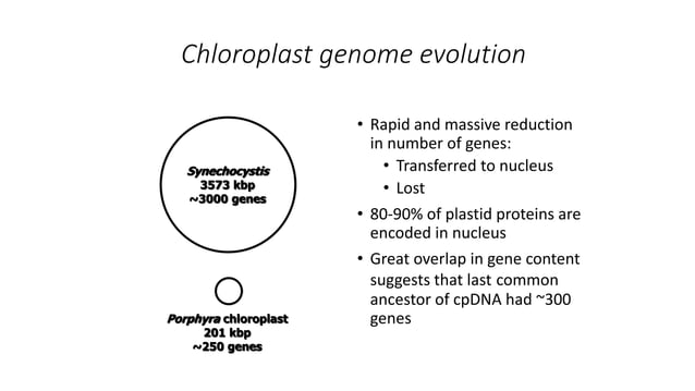 Chloroplast and mitochondrial genome.ppt