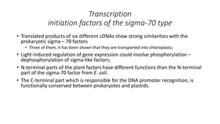 Chloroplast and mitochondrial genome.ppt