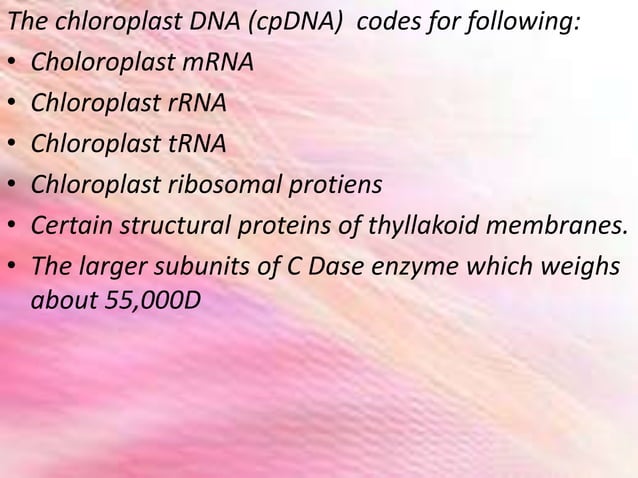 Chloroplast dna | PPTX