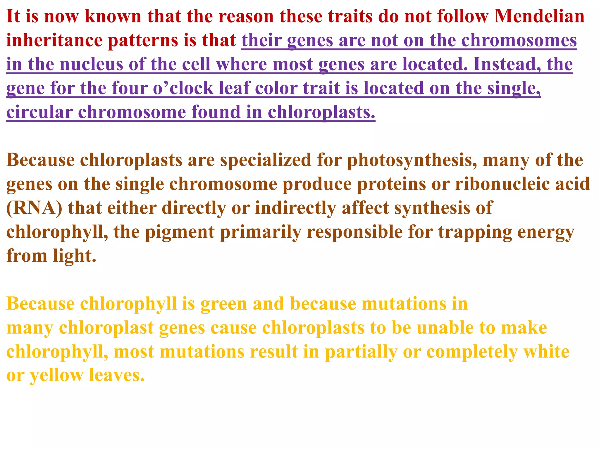 Chloroplast dna | PPTX