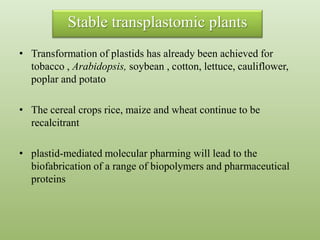 Chloroplast genome engineering | PDF